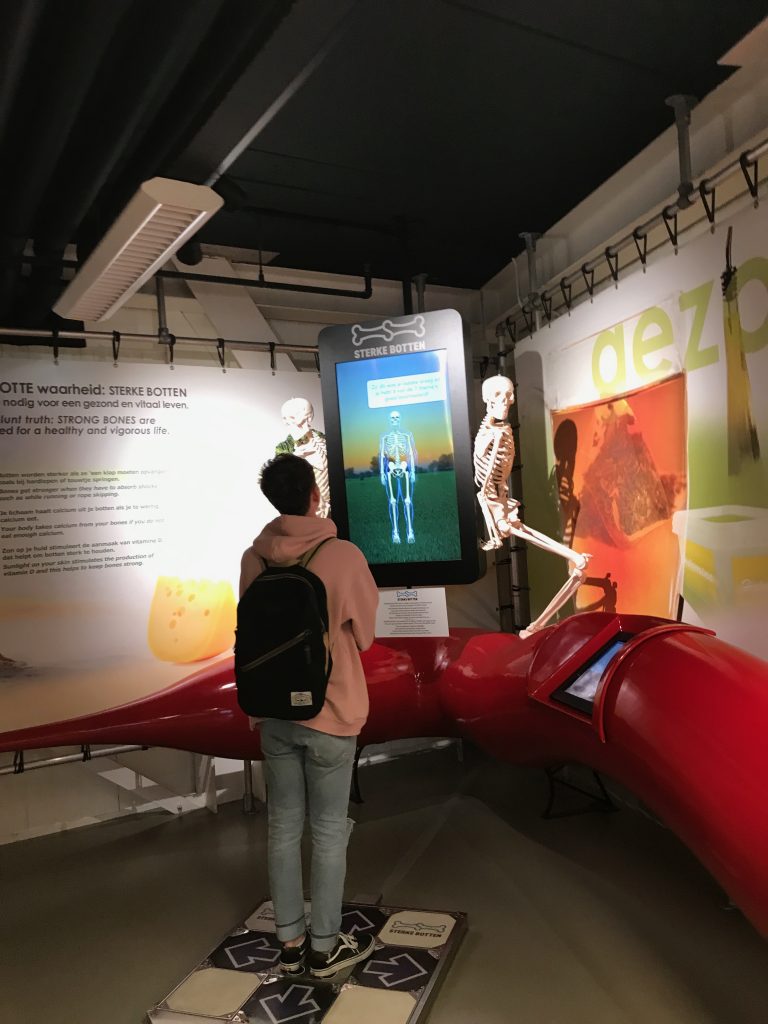 Visiting our exhibits: a trip to Corpus Museum! – Virtual Play
